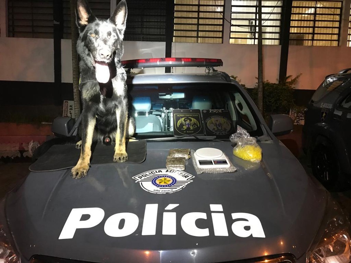 Homem é Preso Por Tráfico De Drogas Em Guaratinguetá Vale Do Paraíba