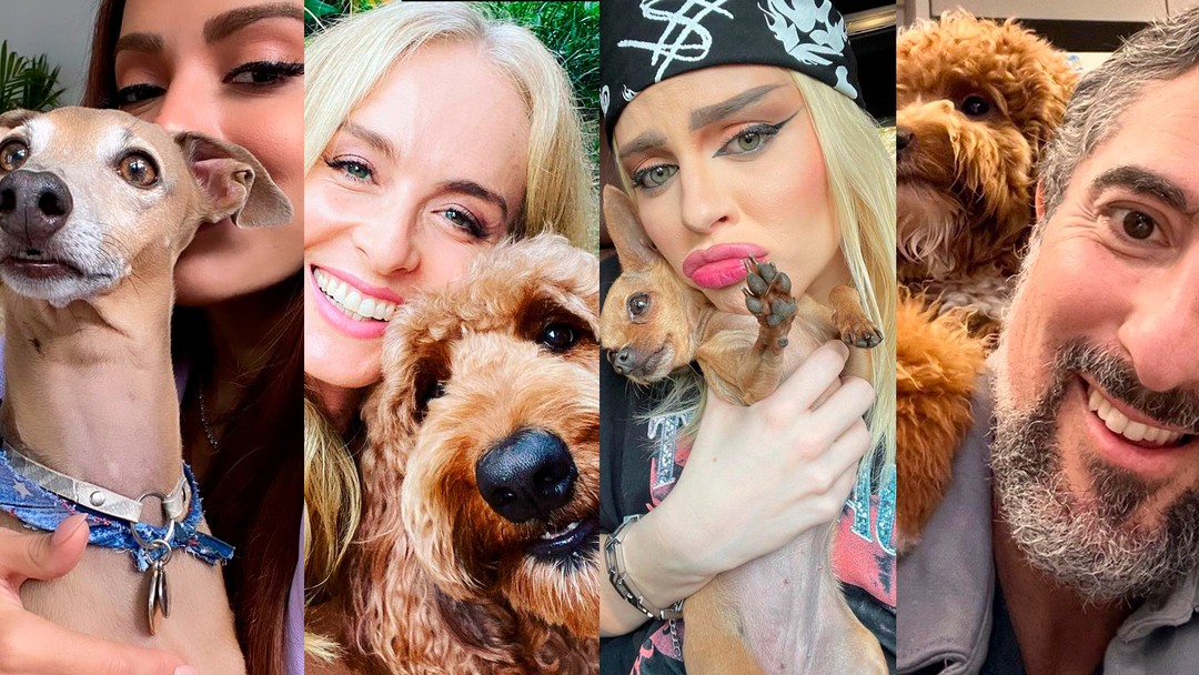 Angélica | Artistas | GSHOW