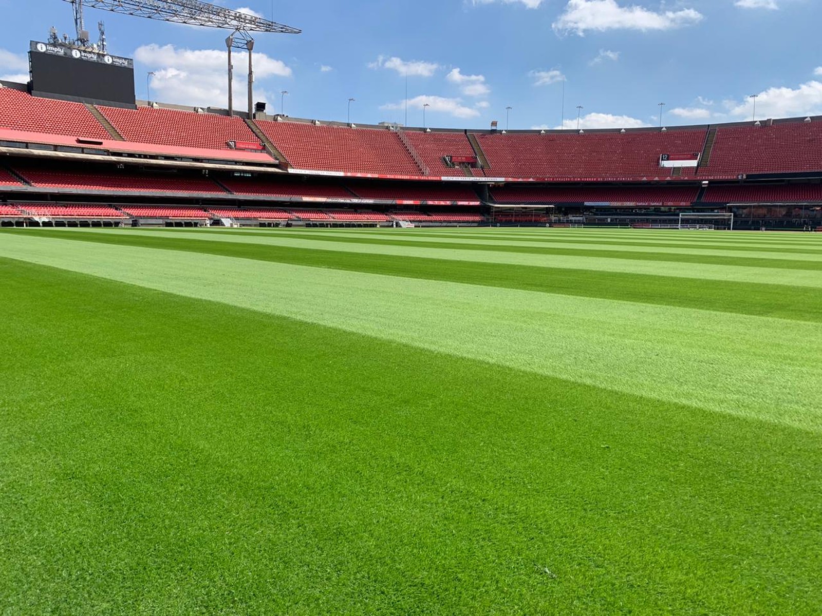 São Paulo faz plantio do gramado de inverno no Morumbi; veja fotos