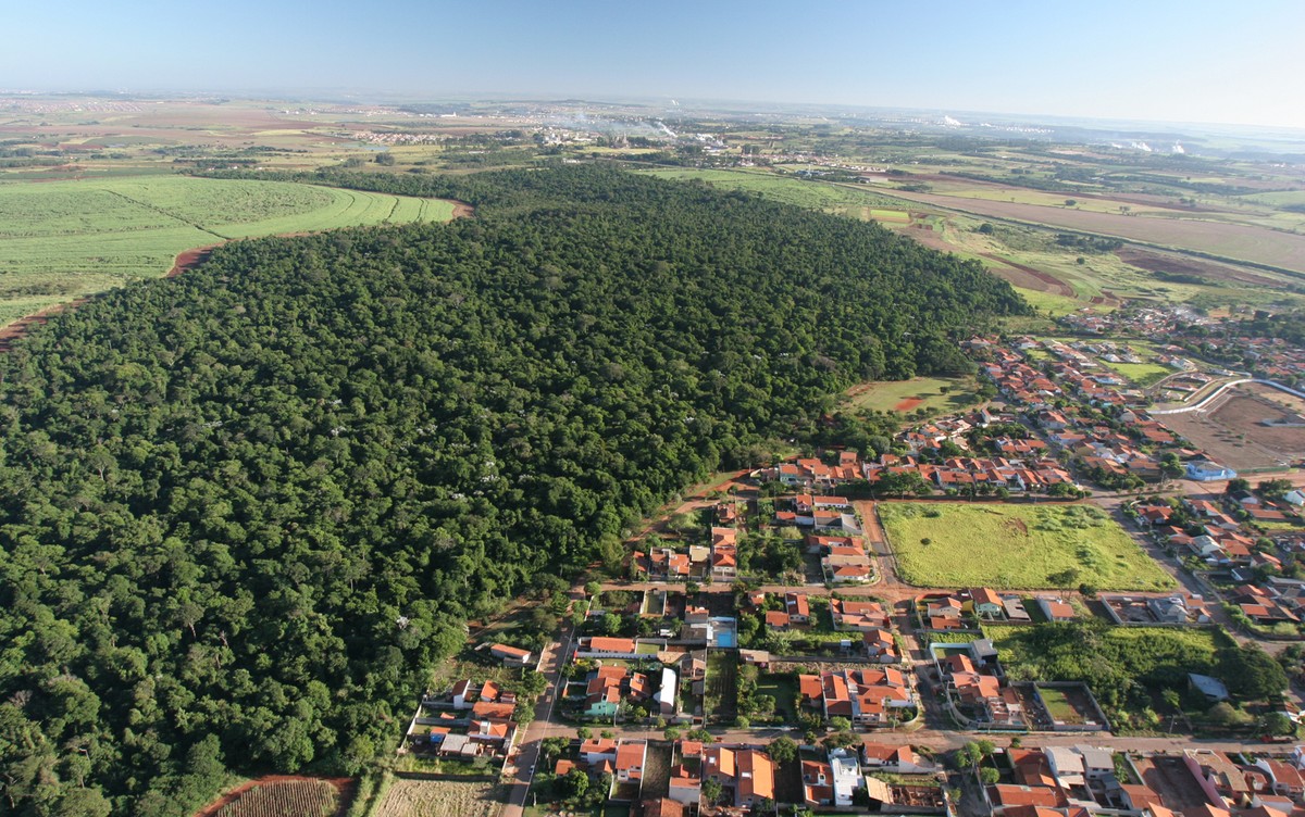 Fundação recebe inscrições gratuitas para visita monitorada à Mata ...