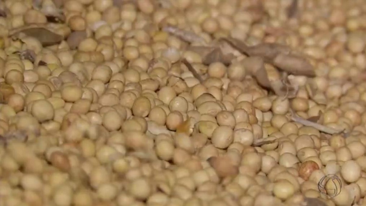 Exportação cresce 18,28% e soja volta a ser principal produto ...