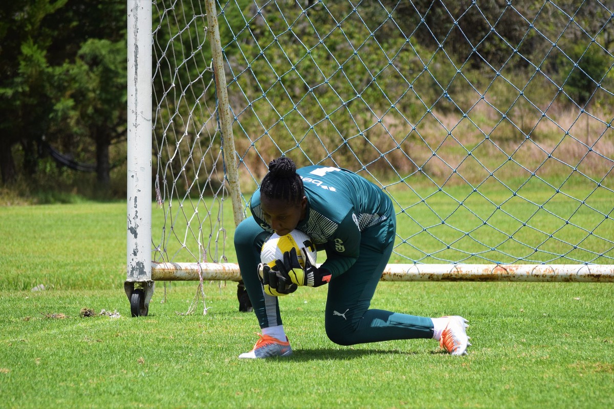 Amanda, do Palmeiras, tem entorse leve e vira dúvida na Libertadores ...