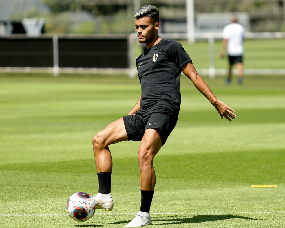 Com adaptação rápida, Fausto vê mercado brasileiro como atrativo e ...