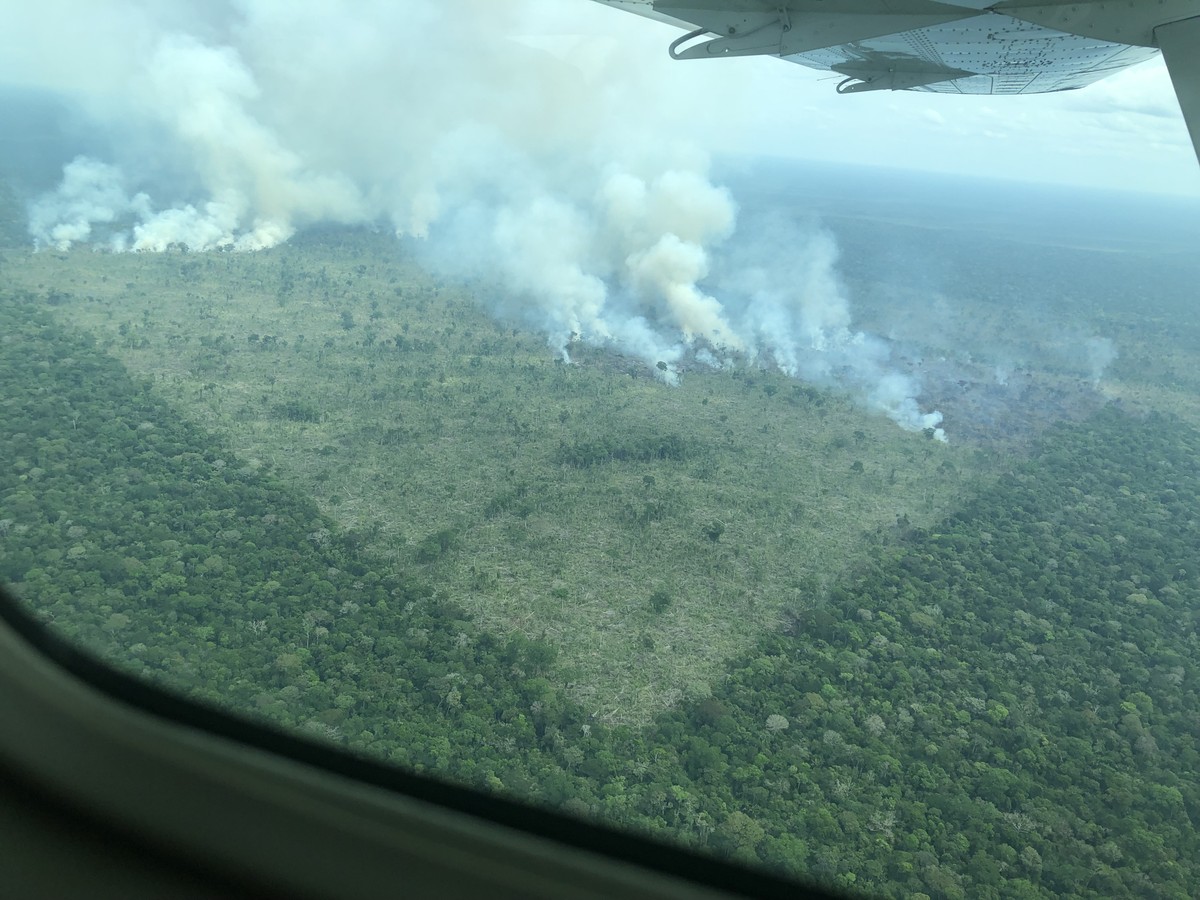 Greenpeace diz que 4 mil pessoas moram em área afetada por queimadas no ...