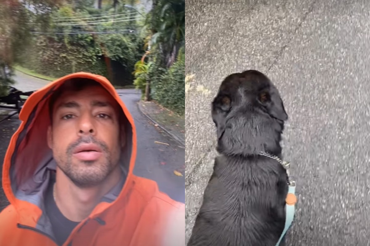 Mesmo com chuva, Cauã Reymond sai para caminhar com cão | GQ | GQ
