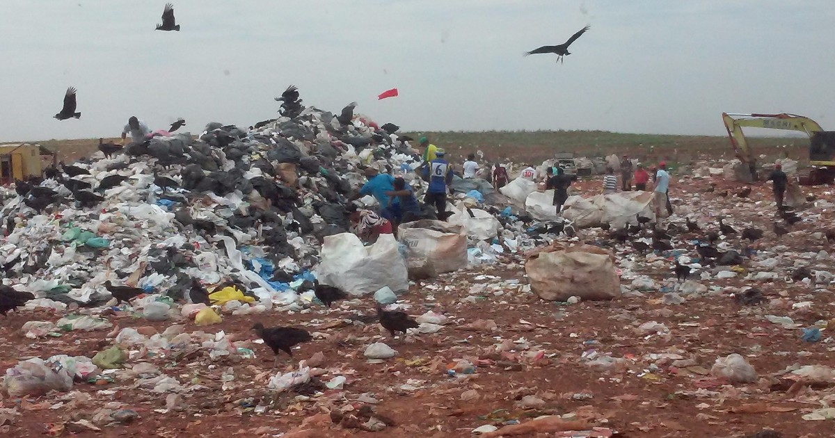 G1 - Quase 1/4 dos municípios do estado têm lixão a céu aberto, diz TCE ...