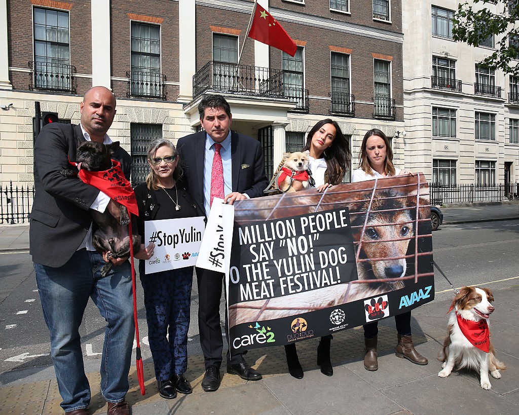 Cidade chinesa de Yulin se prepara para controversa carnificina de ...