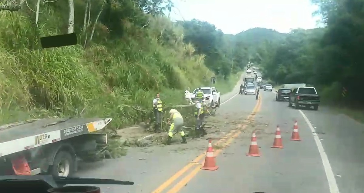 Árvore cai e atinge carro na rodovia Oswaldo Cruz em Taubaté | Vale do ...