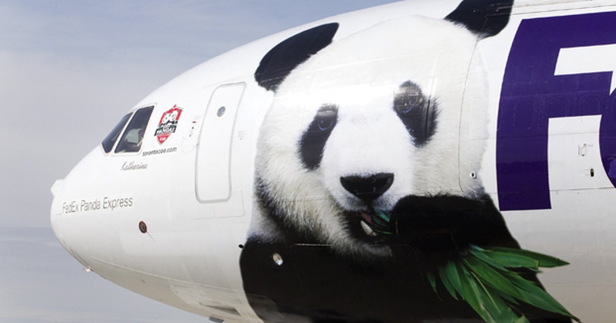 Natureza - Avião com pandas chega ao Canadá após 'empréstimo' feito ...