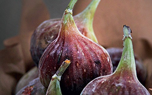Figo: conheça sua história e seis receitas para se deliciar - Casa e ...