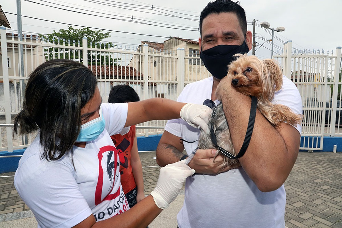Campanha de Vacinação Antirrábica começa neste sábado em Rio das Ostras ...