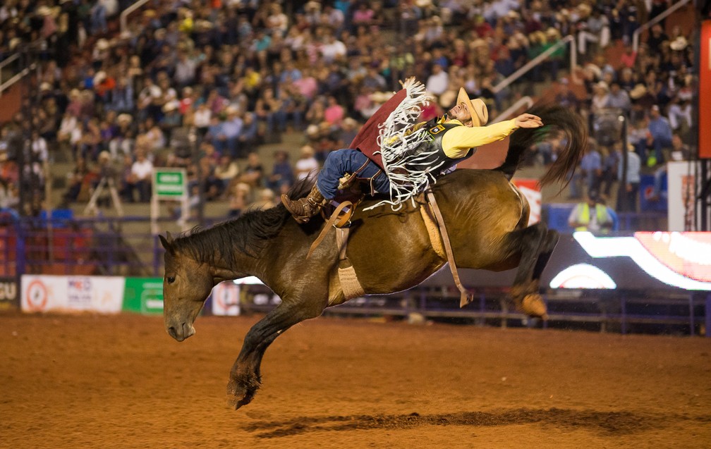 Barretos 2018: Peões disputam a final do Rodeio Internacional; FOTOS ...