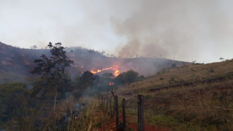 Fogo destrói área de vegetação equivalente a 14 campos de futebol em ...