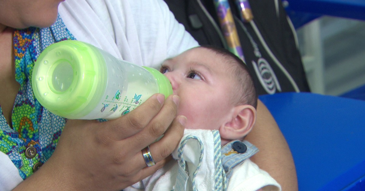 G1 - PE confirma 30 novos casos de bebês com microcefalia em uma semana ...