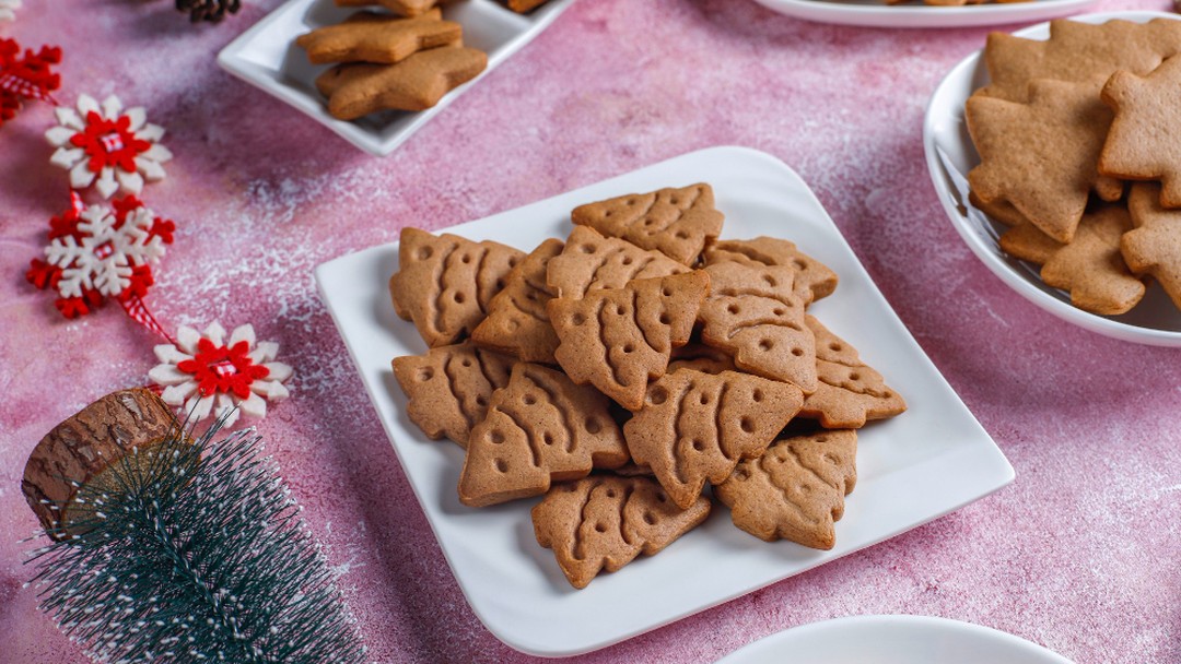 PLUG: Acompanhe o Programa da RPC | Receitas