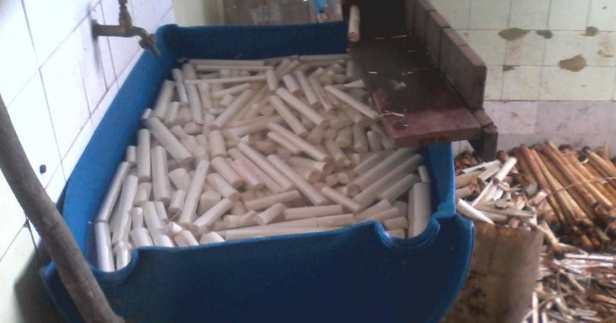 G1 - Polícia Ambiental apreende 217 quilos de palmito ilegal em Lorena - notícias em Vale do ...