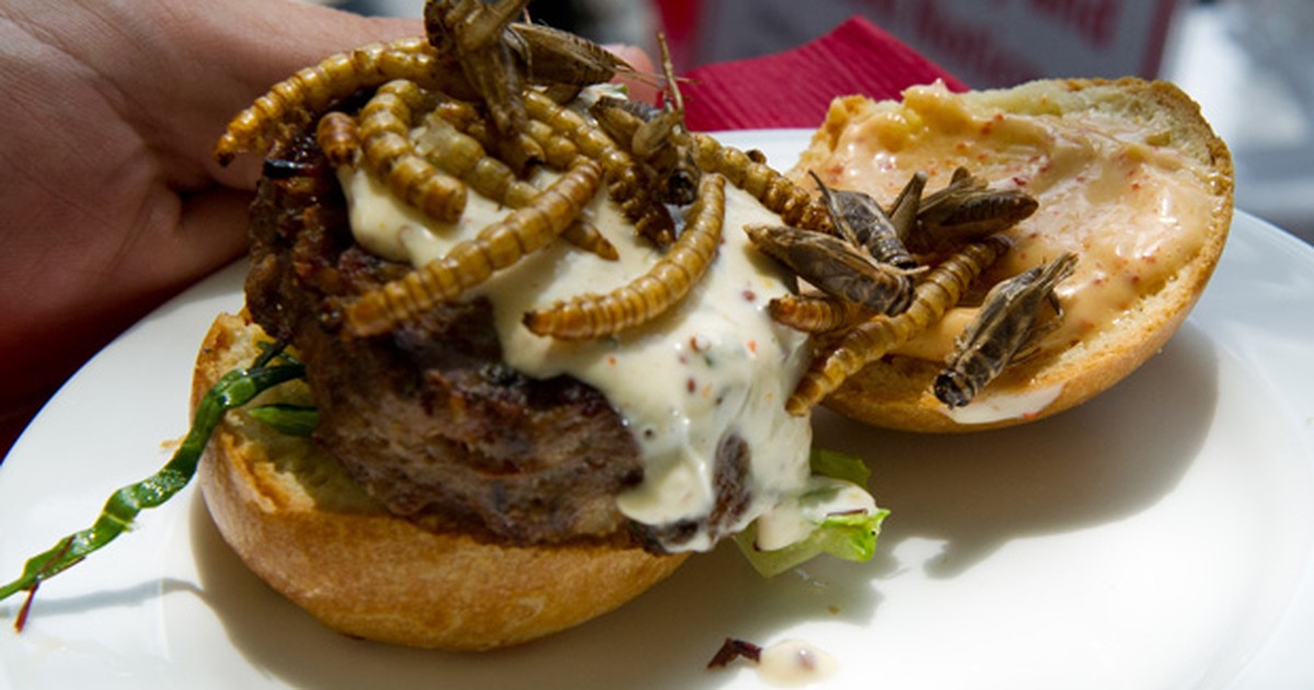 G1 - Público 'encara' lanches recheados de insetos em evento nos EUA ...