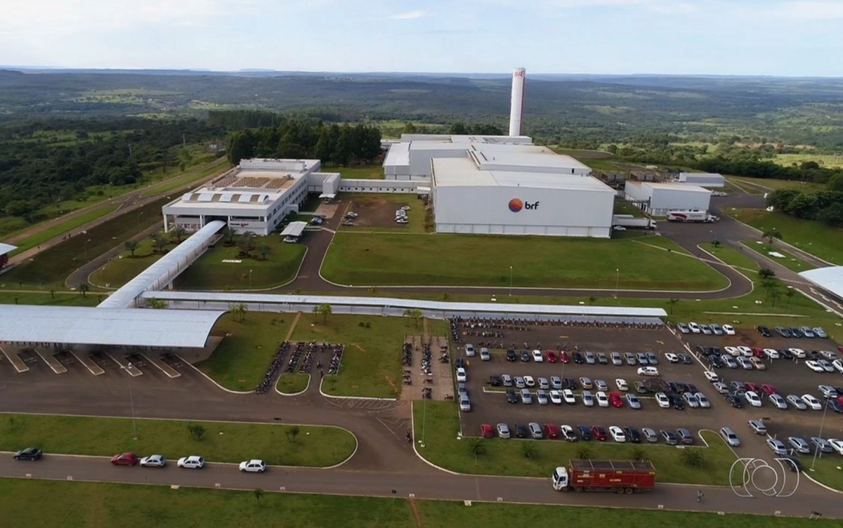 Governo libera BRF a retomar exportações para União Europeia; ação ...