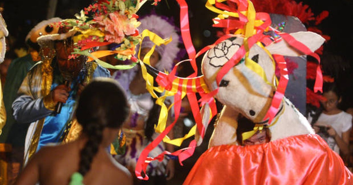 G1 - 'Paixão do Boi' reúne grupos de boi-bumbá para folia junina em ...