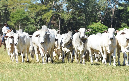 Beabisa, de Beatriz Biagi, celebra 30 anos com um remate top - Revista ...