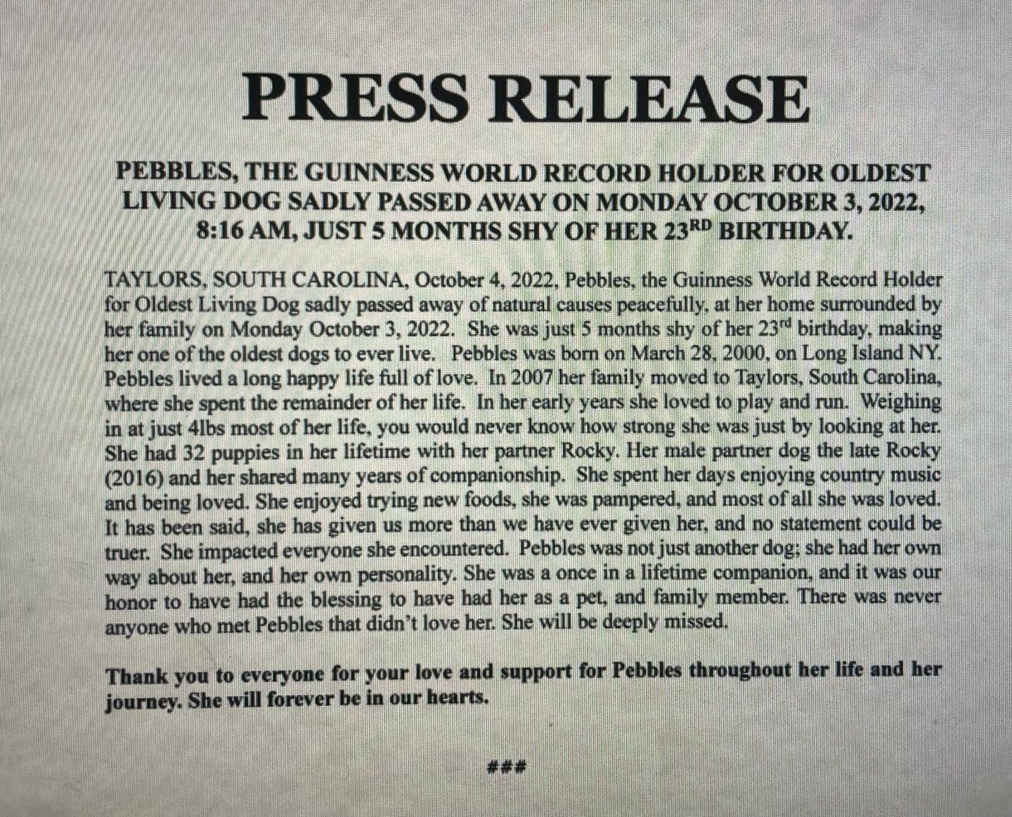 Morre aos 22 anos Peebles, a cachorrinha mais velha do mundo - Quem ...