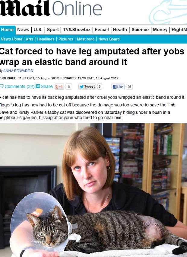 G1 - Gato encontrado com elástico amarrado na pata sofre amputação ...