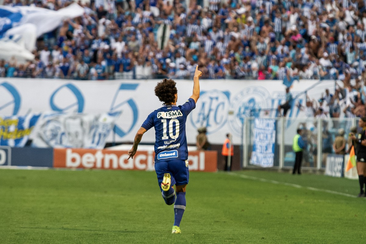 Gols, lances, festa e entrevistas: veja o acesso do Avaí em imagens ...