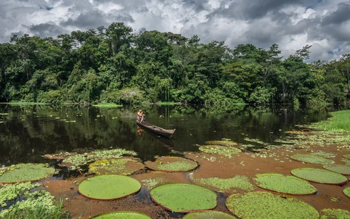 Como ideais de civilização apagaram culturas amazônicas desde o século ...