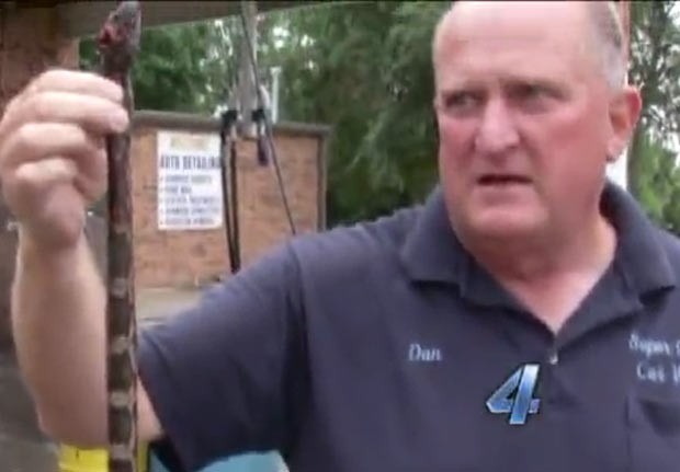 G1 - Funcionários de lava-jato levam susto ao achar cobra dentro de ...