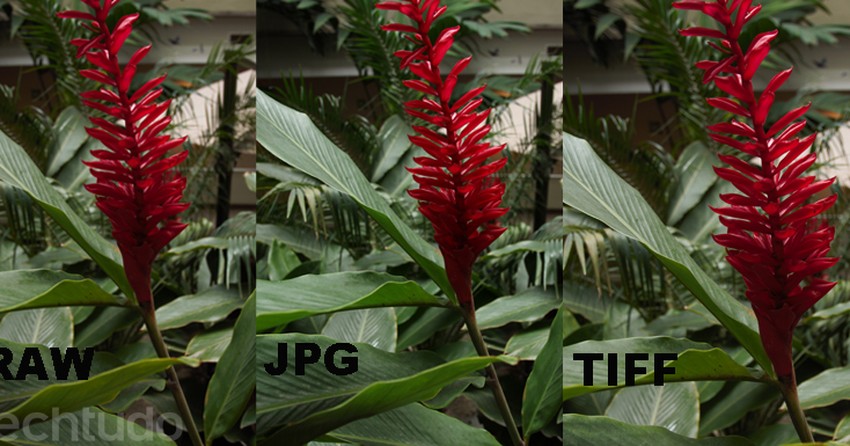 JPG, TIFF ou RAW: qual o melhor formato para sua fotografia digital ...