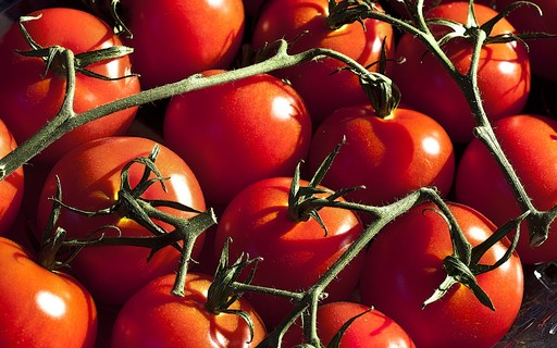 Conheça o tomate japonês - Revista Globo Rural | GR Responde