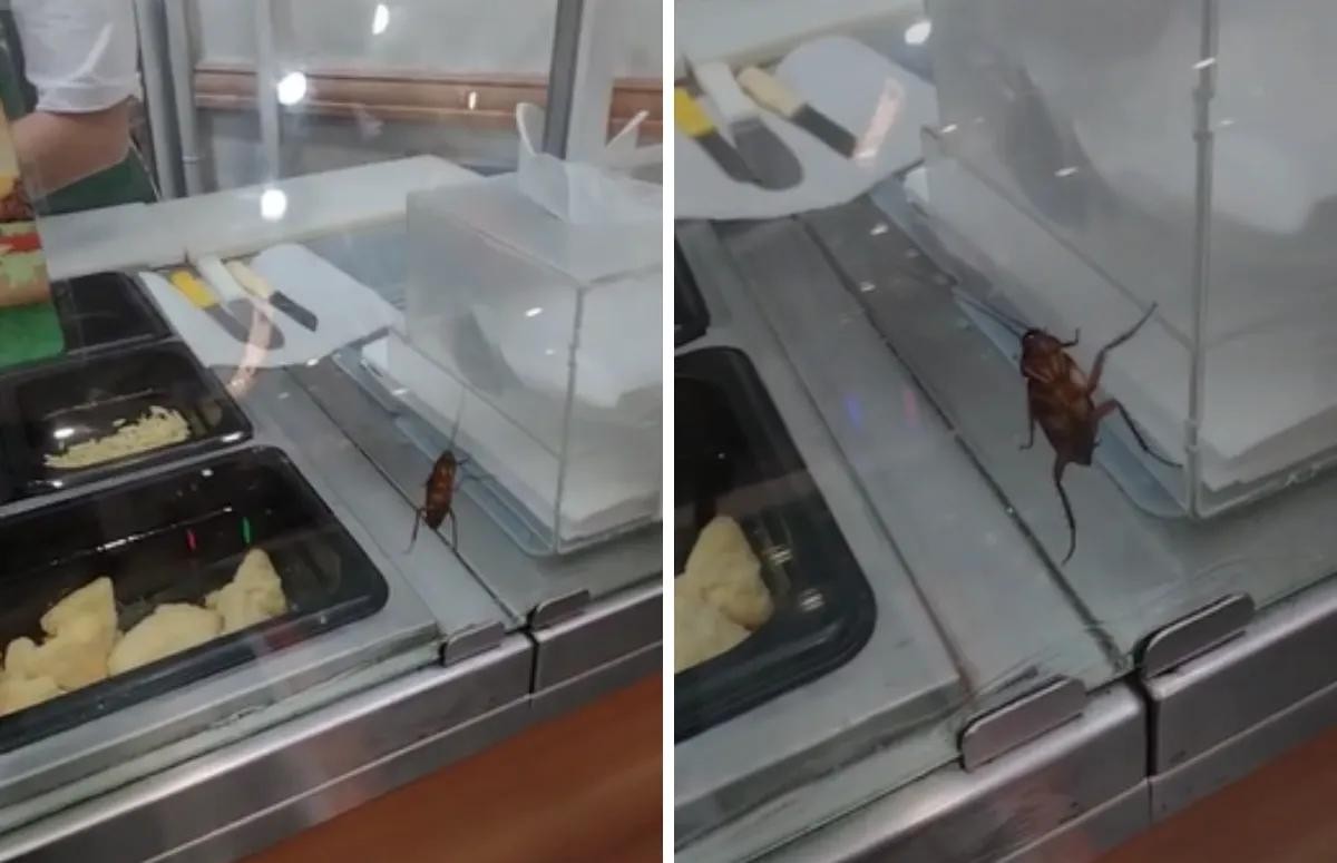Tiktoker Flagra Barata Em Rede De Fast Food E Vídeo Viraliza Brinde Comportamento Vida De