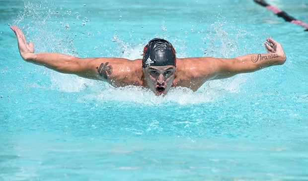Rômulo Neto sobre Cleo Pires: "temos muito amor um pelo outro" - Quem ...