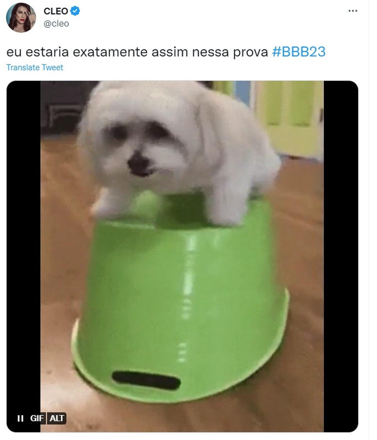 Veja os memes da primeira Prova do Líder do BBB 23 | prova do líder | gshow