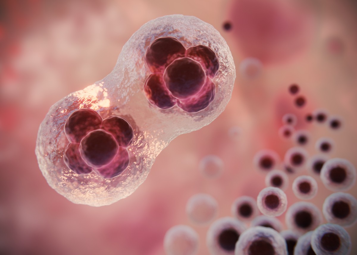 Cientistas criam 1º embrião sintético humano em laboratório do mundo ...