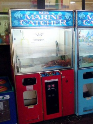 G1 - Conheça as máquinas que vendem de lagosta viva a preservativos ...