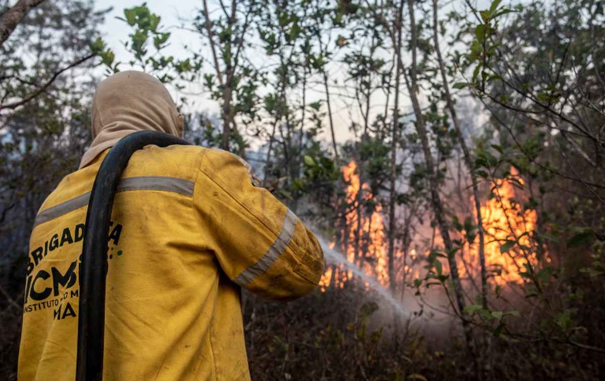 Novo incêndio no Parque Nacional de Brasília já atingiu mais de 3,5 mil ...