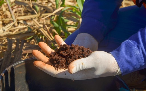 Metagenoma abre caminho para agricultura biológica de precisão ...