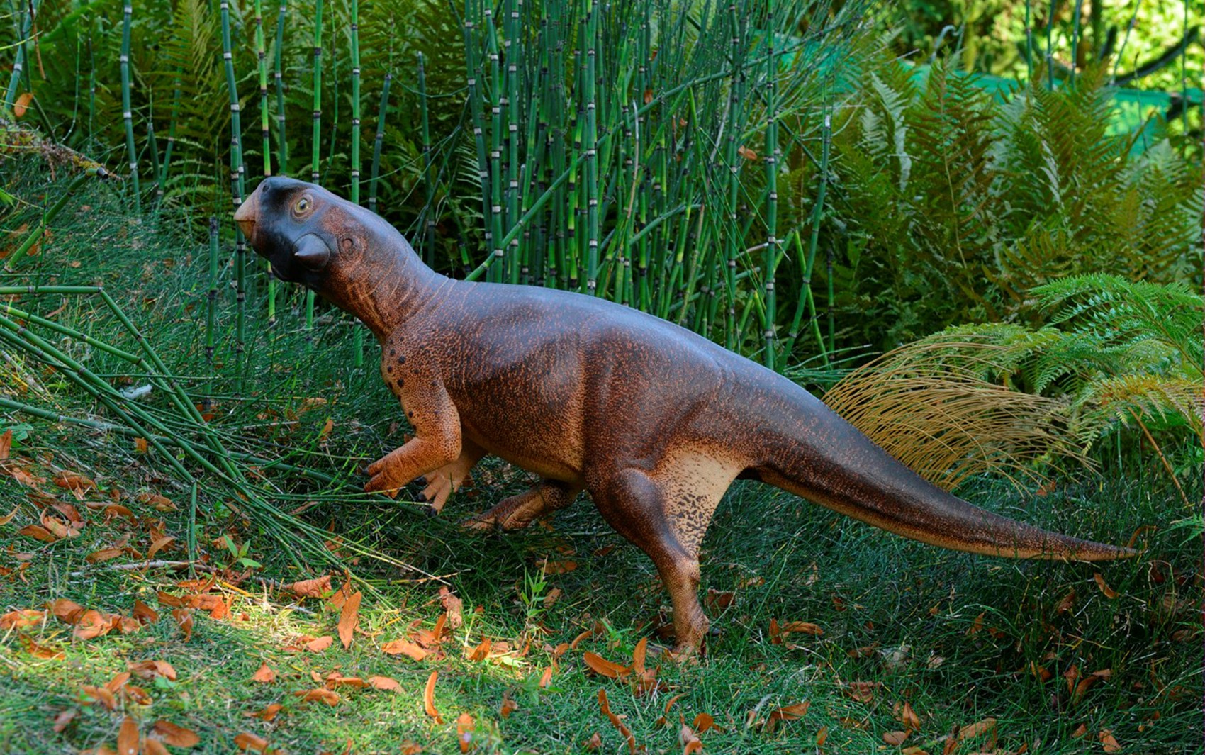 G1 - Cientistas decifram cor de dinossauro que viveu há 120 milhões de ...