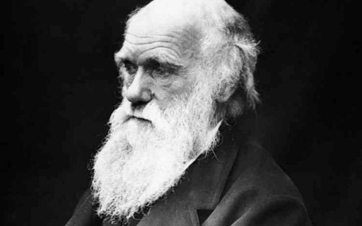 Bê-a-bá do DNA: 13 termos básicos para compreender genética - Revista ...