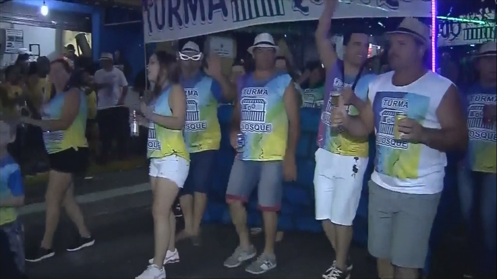 Carnaval de Torrinha reúne mais de 60 mil foliões e tem presença dos ...