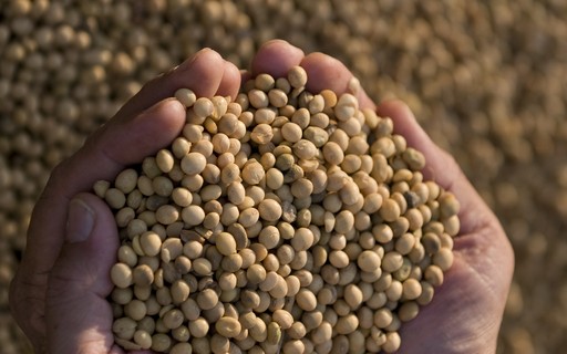 Soja: estimativa de produção chega a 86,924 milhões de toneladas ... Soja: estimativa de produção chega a 86,924 milhões de toneladas ...