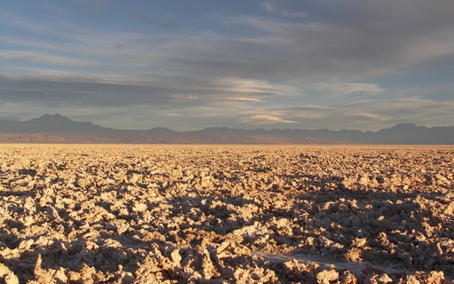 Cientistas descobrem vida no lugar mais seco do planeta - Revista ...