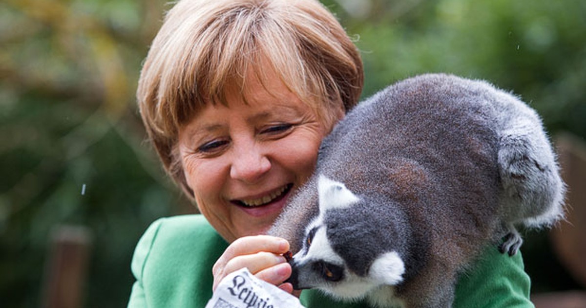 G1 - Angela Merkel alimenta lêmure em visita a parque na Alemanha ...