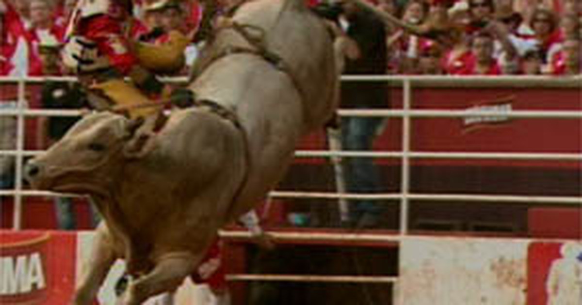 G1 - Suspeita de maus-tratos a animais proíbe rodeios em Jaboticabal ...