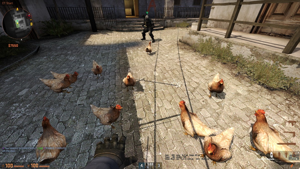 CS:GO: relembre jogadas de torneios em que galinhas interferiram ...
