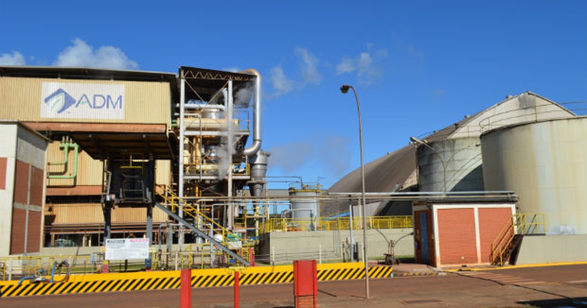 G1 - Fábrica de proteína de soja da ADM deve operar a partir de 2015 em ...