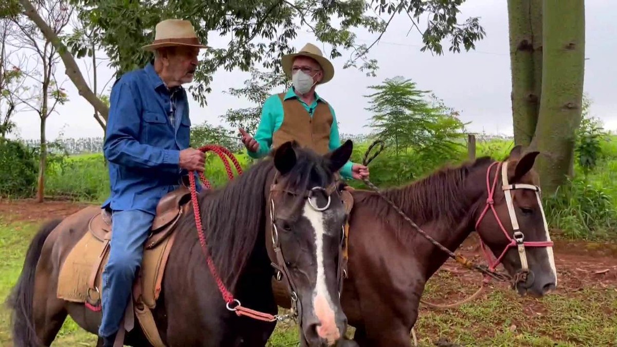 Veja os destaques do Globo Rural deste domingo (20/03/2022) | Globo ...