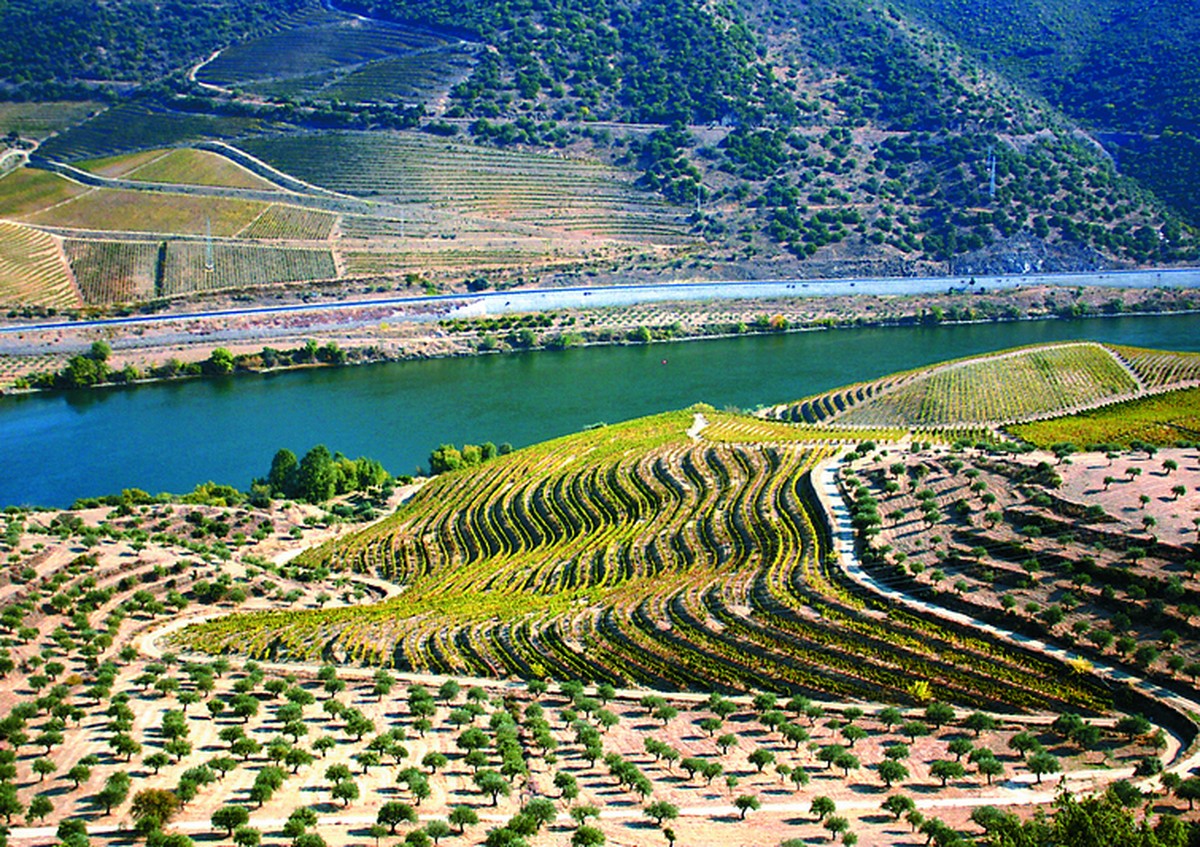 Céu azul, lua cheia e boa safra no Douro | Valor Econômico | Valor ...