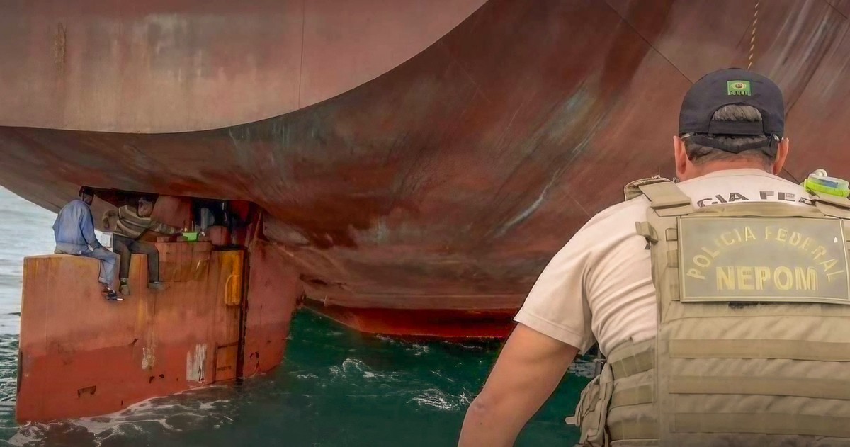 Nigerianos que viajaram em leme de navio serão repatriados em 25 dias ...